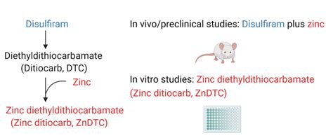 Illustration Of How The Disulfiram Metabolite Zinc Download