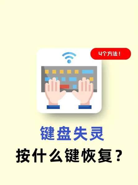 Win11键盘左边按键失灵怎么办？如何解决？ 4425教程网