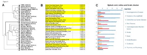 Clustering Tissues Into Groups Based On Expression Patterns A Download Scientific Diagram