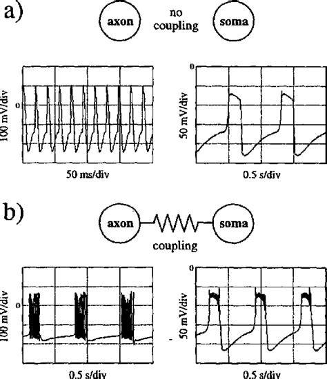 Figure 1 From Analog Circuits Emulating Biological Neurons In Real Time