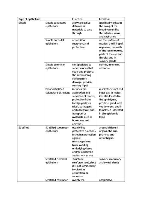 Type Of Epithelium In Males It Is Also Located In The Epididymis