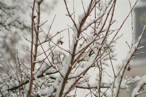 Winter Haiku Fuyu Wunderblog