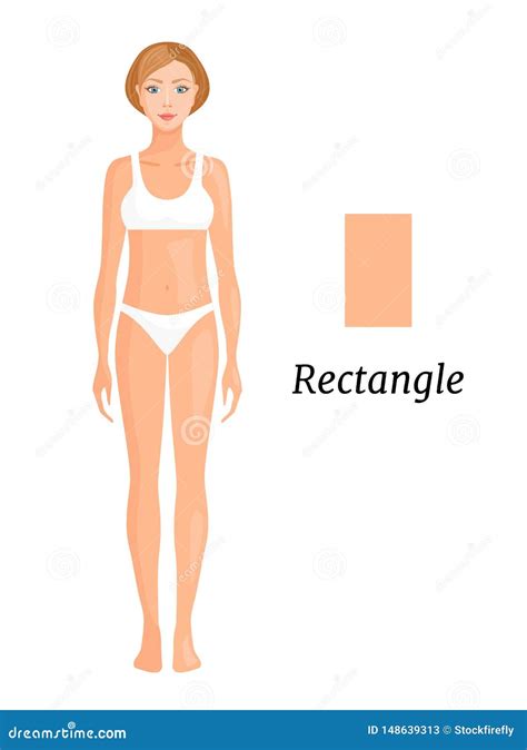 Type Of Figure Rectangle Vector Illustration Types Of Female Figures Stock Vector
