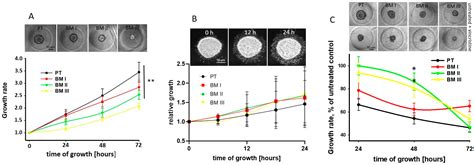 Ex Vivo Model Of Neuroblastoma Plasticity