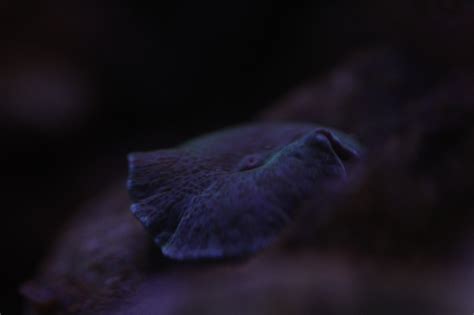 12310 Free Image Hosting Service