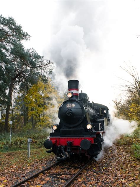 가을 풍경 속의 역사적인 증기 기관차 · 무료 스톡 사진