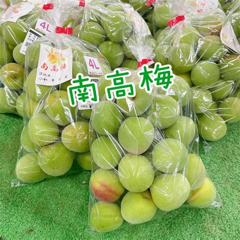 南高梅 葉菜の森