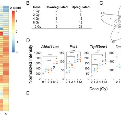 radiation induced long non coding rna expression profiles in mouse