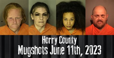 Horry County Mugshots June 11th 2023 WFXB