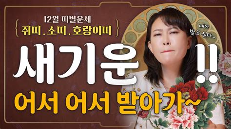 🌟12월 띠별운세🌟 쥐띠 소띠 범띠 일 건강 사랑 모두 다잡을 수 있다 내년까지 탄탄대로가 열렸네🎊 Youtube