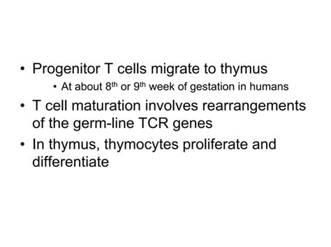 T Cell Development Maturation Activation And Differentiation Ppt