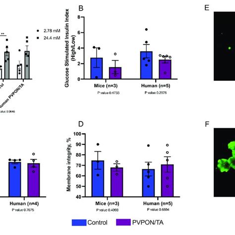 In Vitro Function Evaluations Of Non Coated Control Blue And