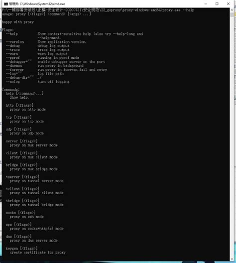 https正向代理goproxynginx对比 海yo 博客园