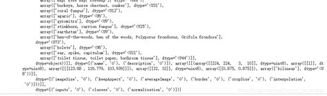 Imagenet Vgg Verydeep 19mat查看 Csdn博客