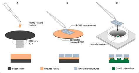 Transferring Pdms Microstructures To A Cmos Mea Using An Intermediate