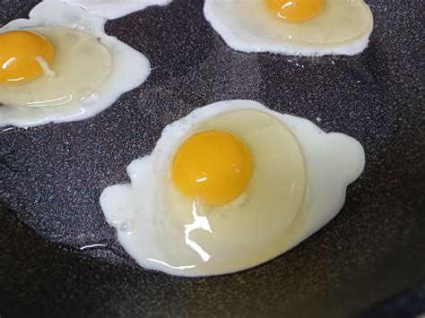 아보카도참치비빔밥 혼밥레시피 한그릇요리