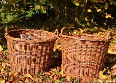 Recent Willow Baskets By Katherine Lewis Dunbar Gardenswillow Baskets
