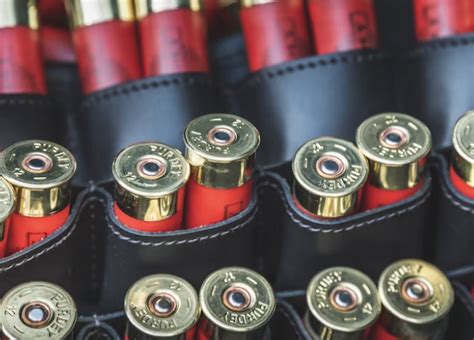 Where Should You Put A Gun Safe In Your House Springhill Outfitters