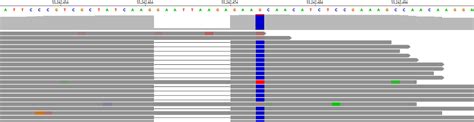 Normalize Complex Variants To Meet The Requirements Of Hgvs · Issue