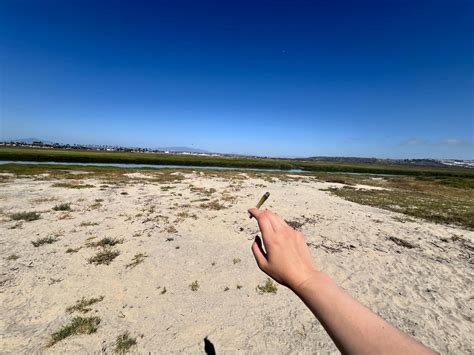 Dalmat Styles Dalmat Styles On Threads