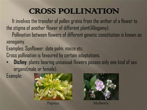 Pollination Pdf