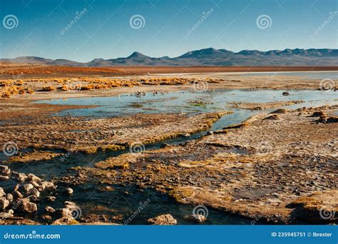 Beautiful Landscape In The Reserva Nacional Los Flamencos Stock Image