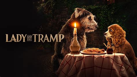 فیلم بانو و ولگرد تماشای آنلاین در شیدا