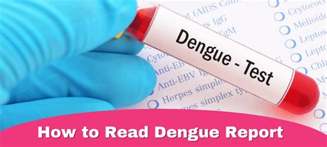 Dengue Test Report Dengue Positive Report And Test Result