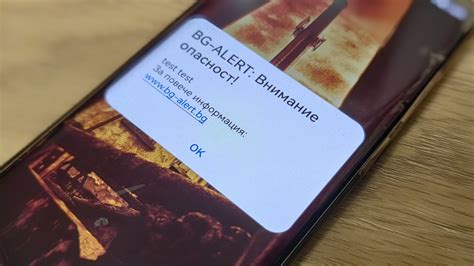 Тестват днес системата Bg Alert Родопи Инфо