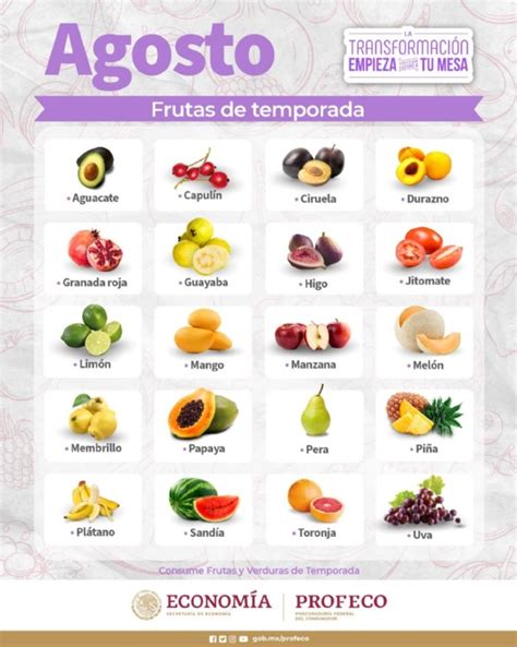 ¿cuáles Son Las Frutas Y Verduras De Temporada Del Mes De Agosto