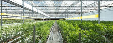 Innovative Industrial Properties Linkedin