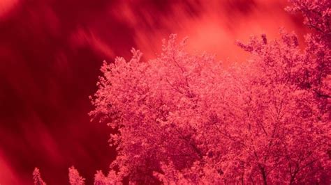 How To Use Microsoft Outlook How 2 Use