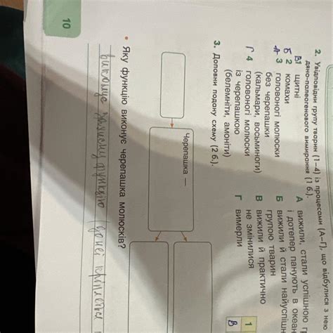 3 Доповни подану схему Черепашка Школьные Знания Com