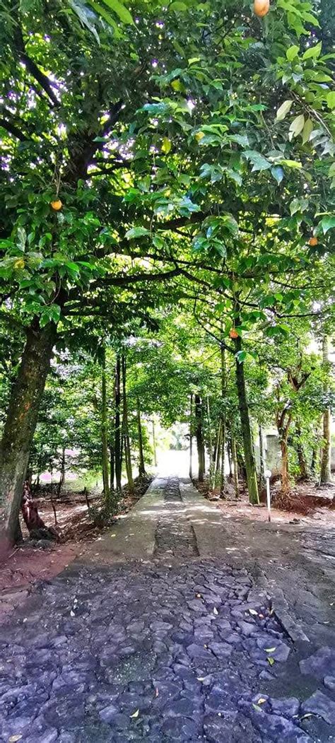 Charitha Lakmal Rajapakshe