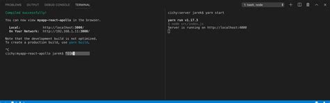 Buildin Terminal Issue Microsoft Vscode Github