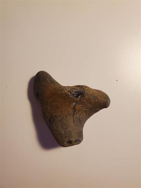 Funny Shaped Rock Also Posted On R Fossils Just In Case R