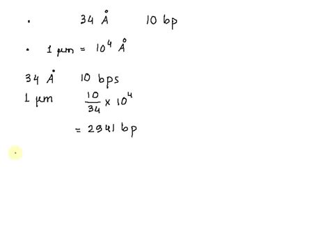 Calculate The Average Number Of Nucleotide Pairs Per Micrometer Of Dna