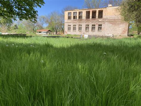 Timeheroes 😍 Вече две години майстори и доброволци ремонтират старото училище в радомирското 📍