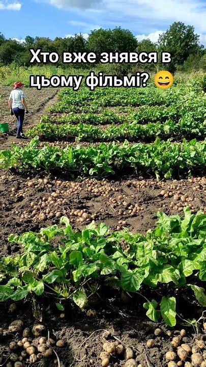 Хто вже знявся в цьому фільмі 😄 Youtube