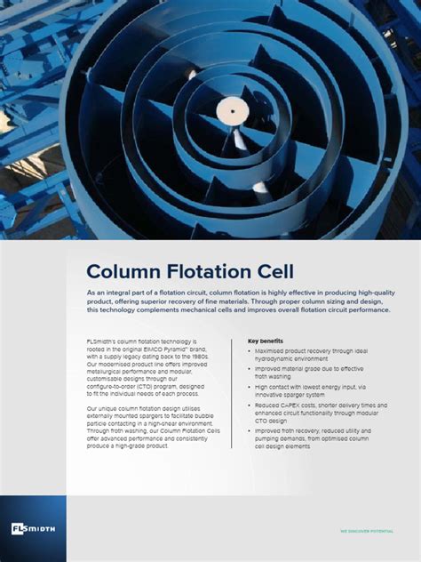 Column Flotation Cell Brochure Pdf Pump Chemical Engineering