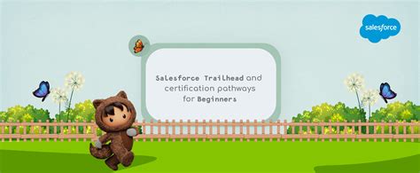A Beginners Guide To Salesforce Trailhead And Certification Paths