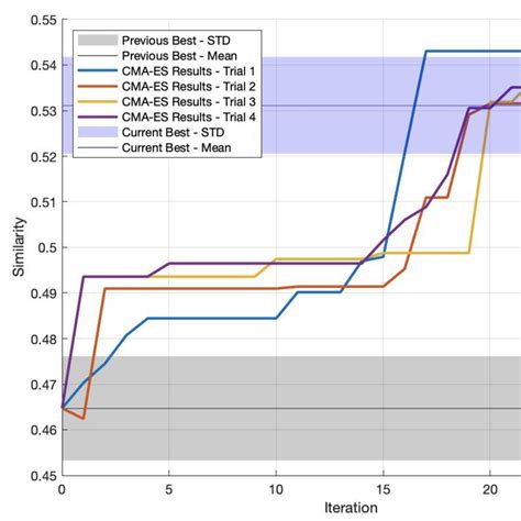 implementing evolutionary optimization to model neural functional