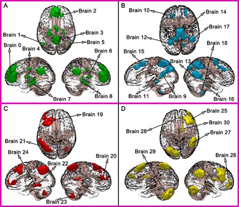 Schematic Visualization Of Regions Of Interest In Default Mode Network