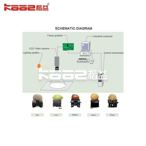 05 30th Automatic Sorting System Fruit Photoelectric Sorting System