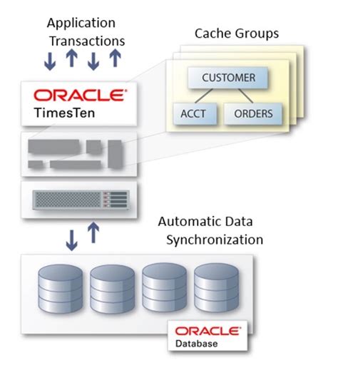 Introduction To Oracle Timesten In Memory Database Db Exam Study