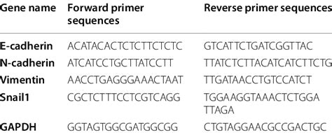 Sequences Of Primers Used For The Quantitative Reverse Download
