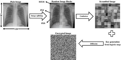 Figure 1 From A New Image Encryption Algorithm For Grey And Color