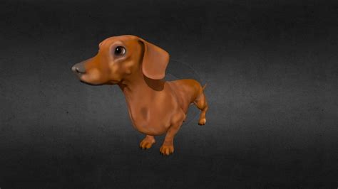 Doxie 3d Models Sketchfab