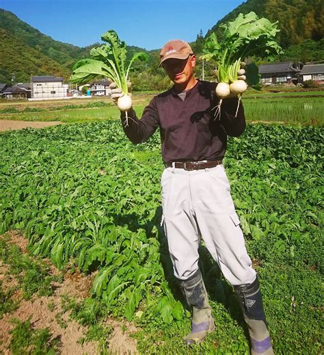 この7年ほど、風邪等で寝込んだことがない。 月に一度の休刊日以外は毎日する新聞配達も、これまでの7年間一度も休んだことがないことに、自分でも