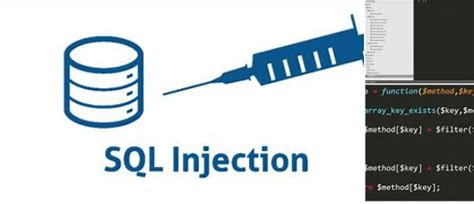 Carrotの小窝 Wecome To You